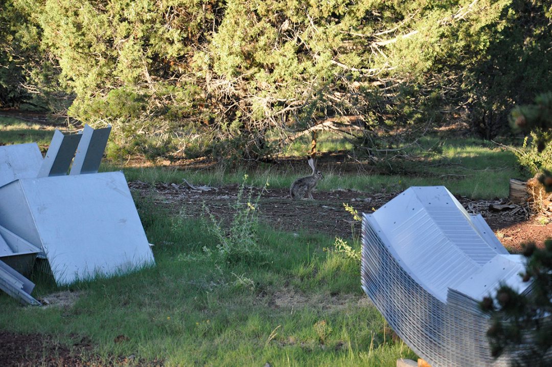 Wood Framing in a Metal Quonset Hut - Clever Moderns
